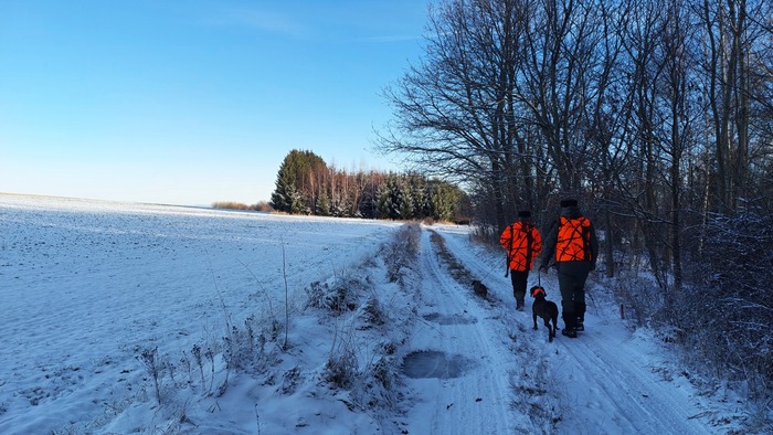 Informace o MS Krouna-Otradov